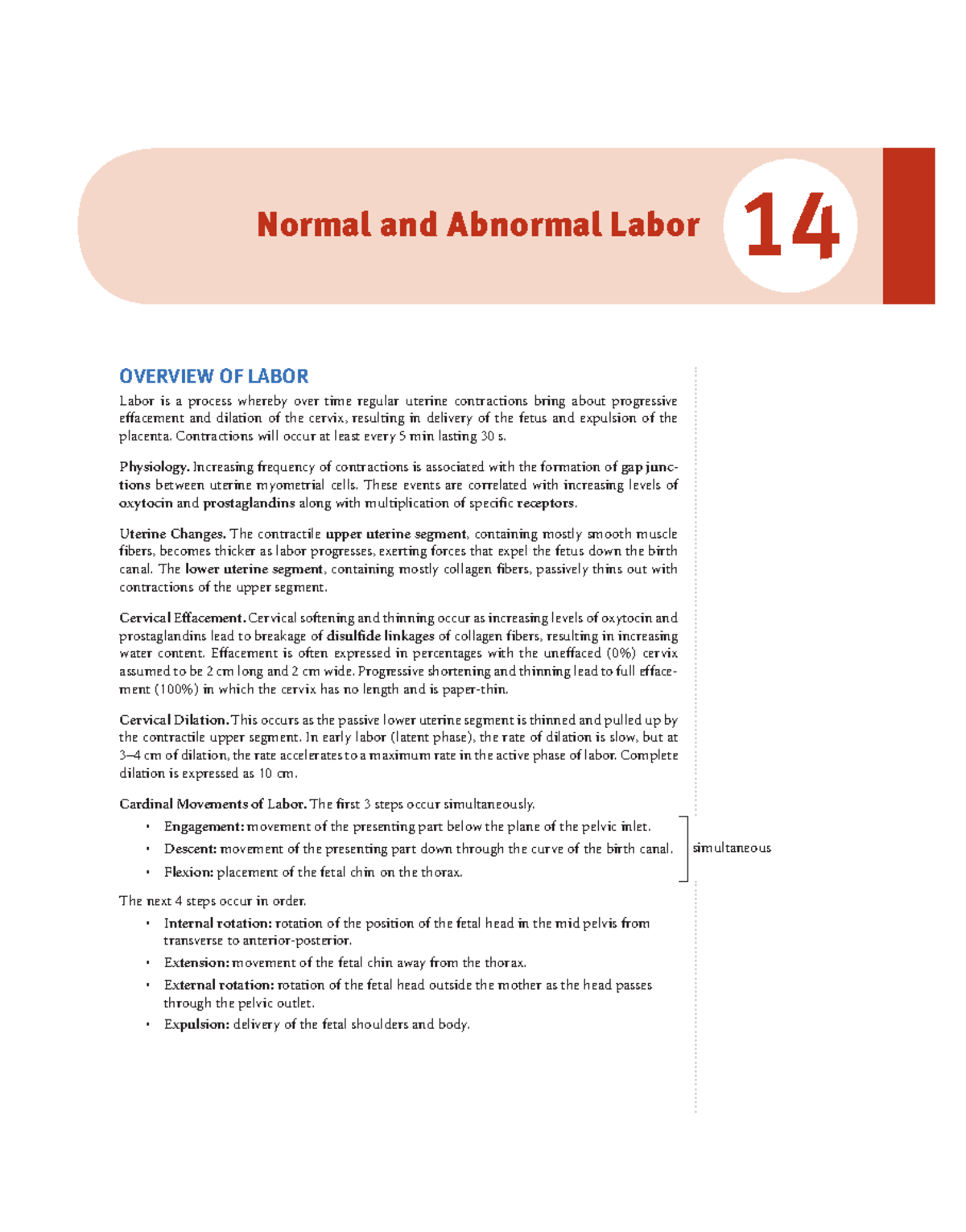 Chapter 14 MW - OVERVIEW OF LABOR Labor is a process whereby over time ...
