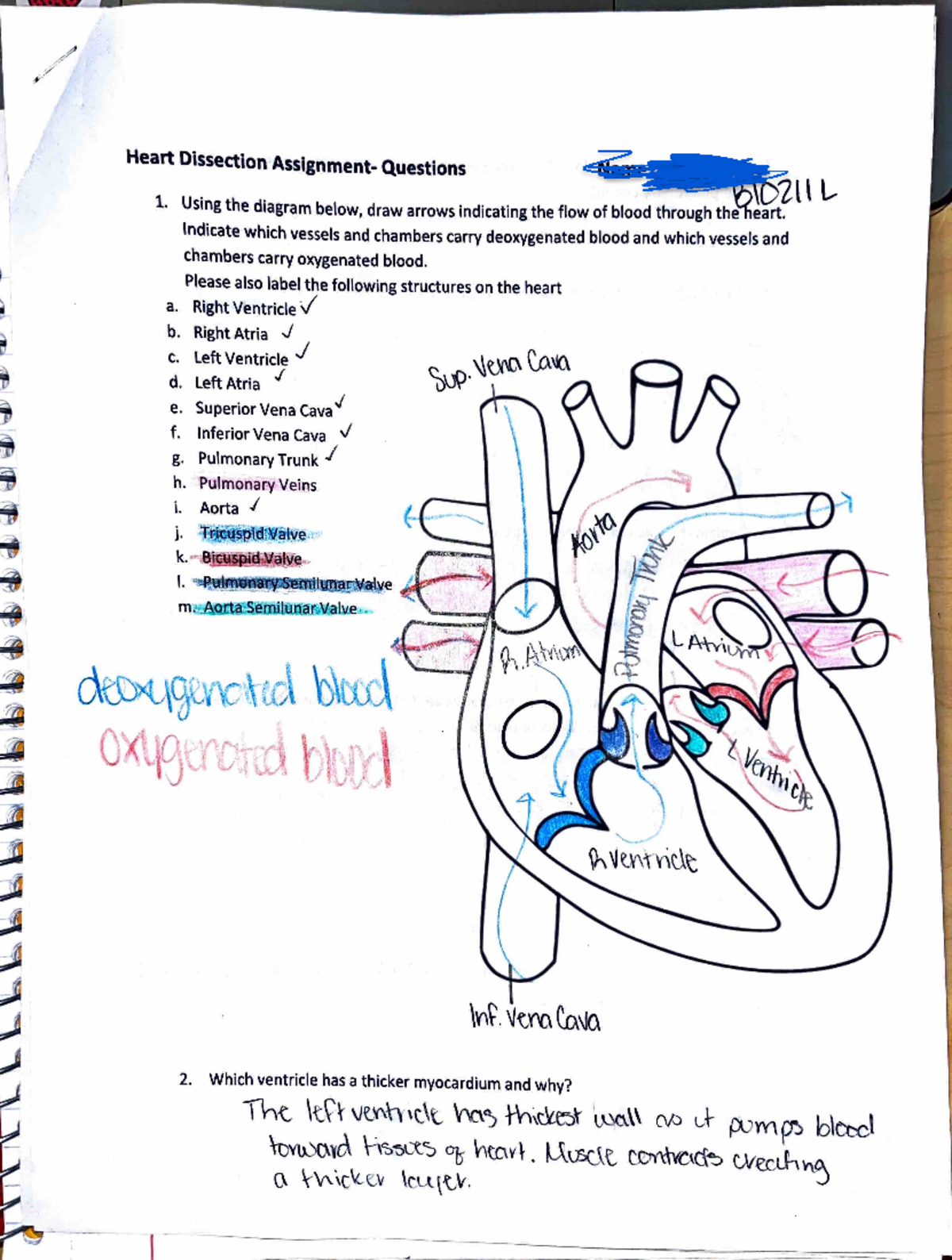 Heartdlab - Heart Lab Activity - BIO-211 - Studocu