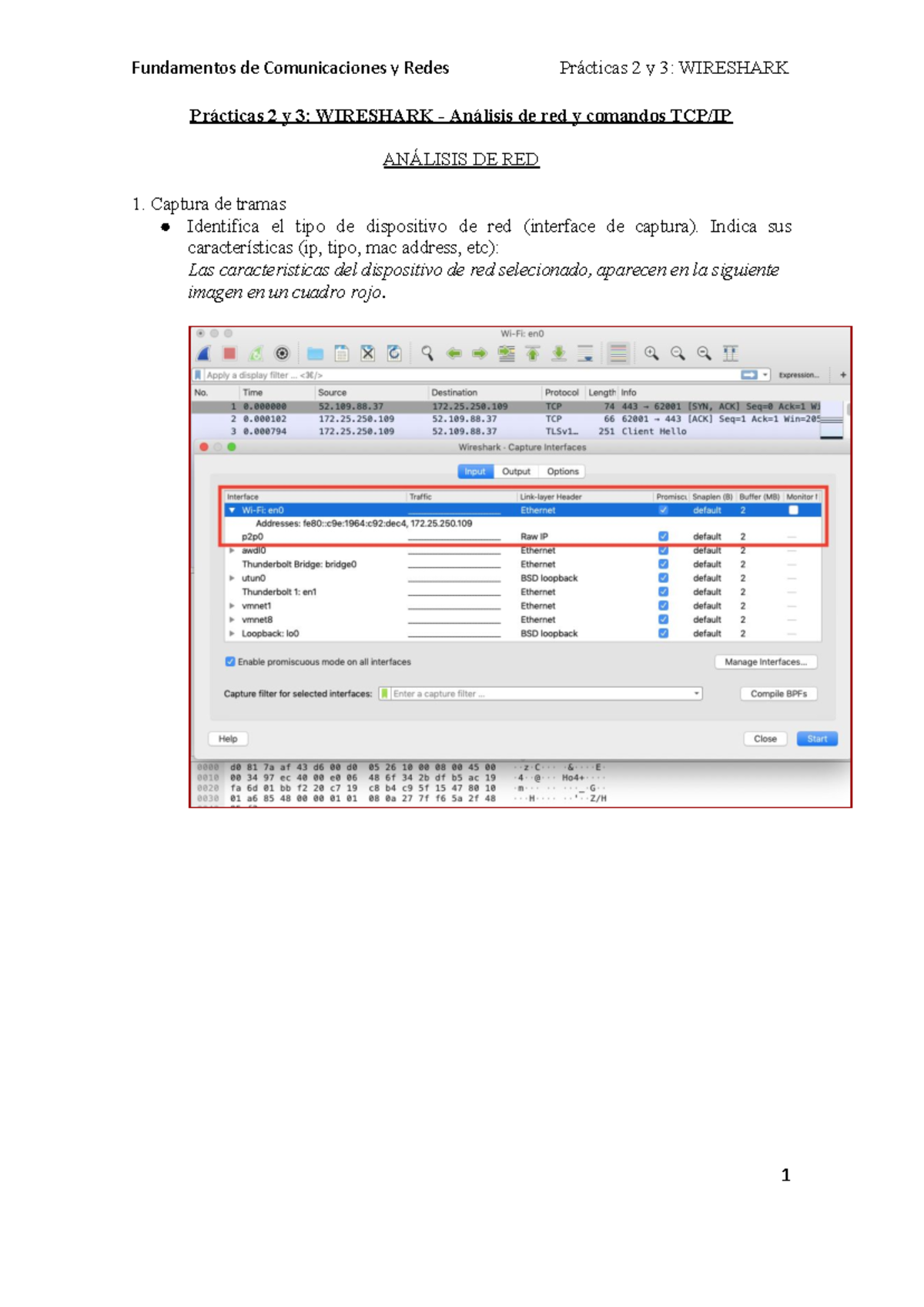 Práctica WireShark - Prácticas 2 y 3: WIRESHARK - Análisis de red y comandos TCP/IP ANÁLISIS DE ...