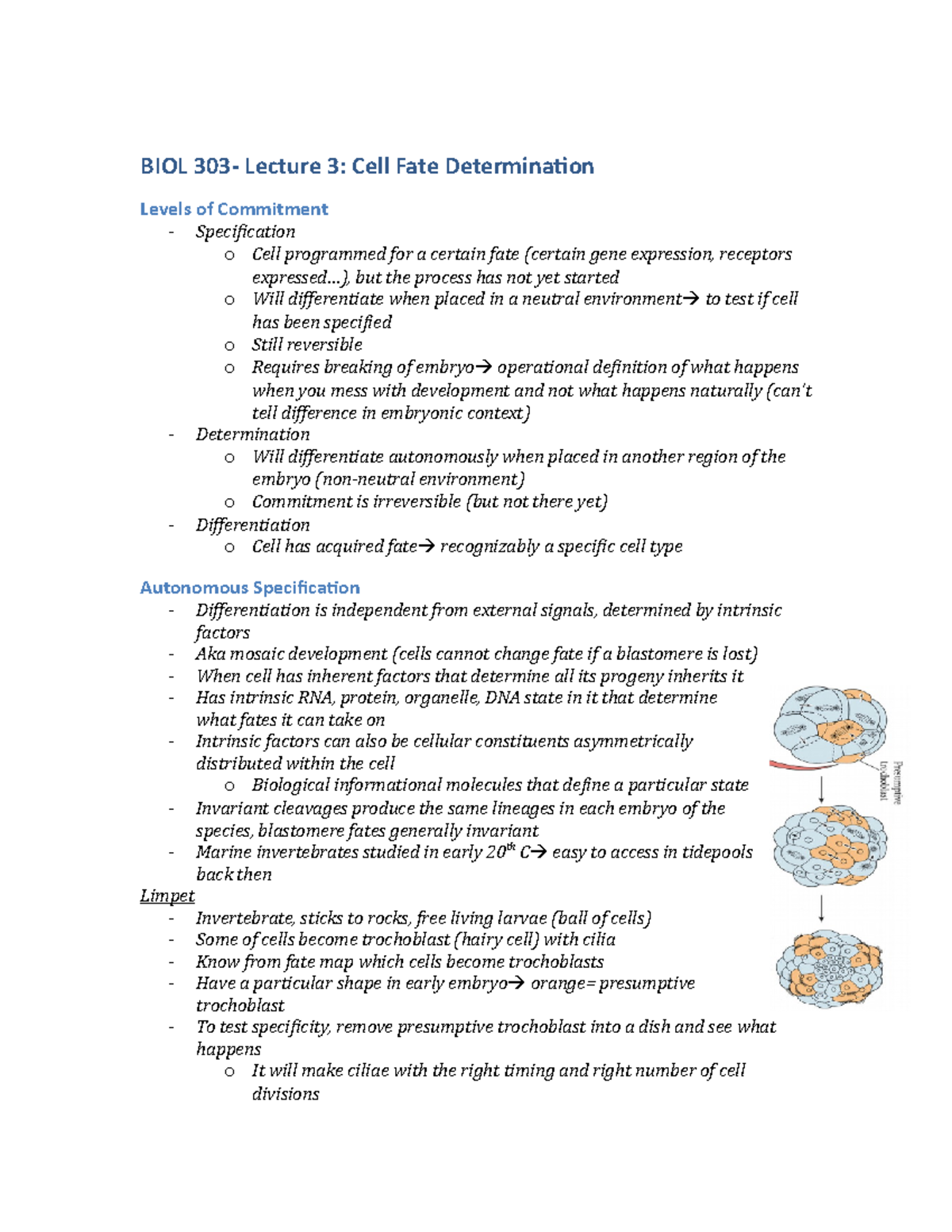 BIOL 303- Lecture 3 - Prof. Hendricks - BIOL 303- Lecture 3: Cell Fate ...