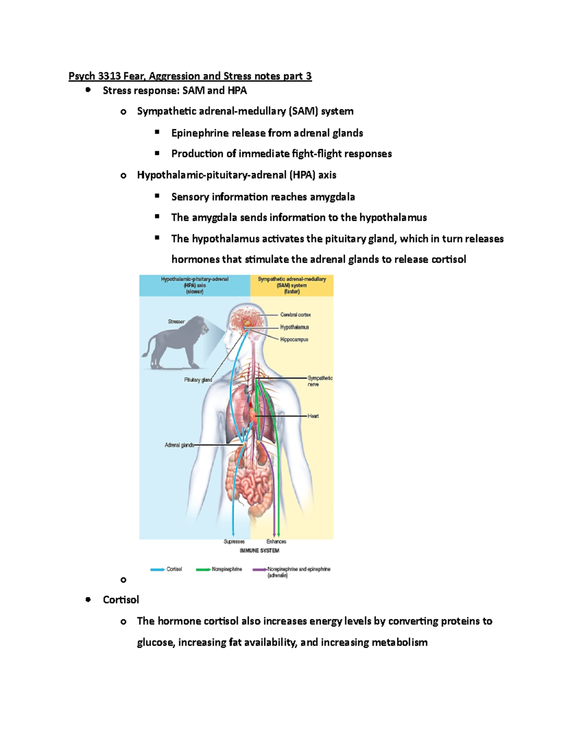 Psych 3313 Fear, Aggression and Stress notes part 3 - Studocu