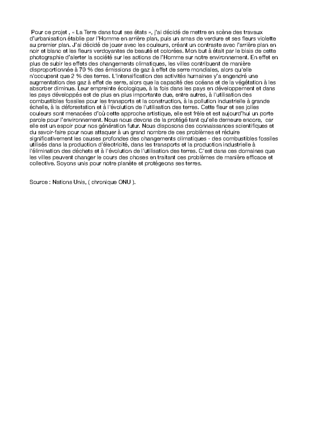 Note d’Intention réalisation d’un projet d’art plastique - Pour ce ...