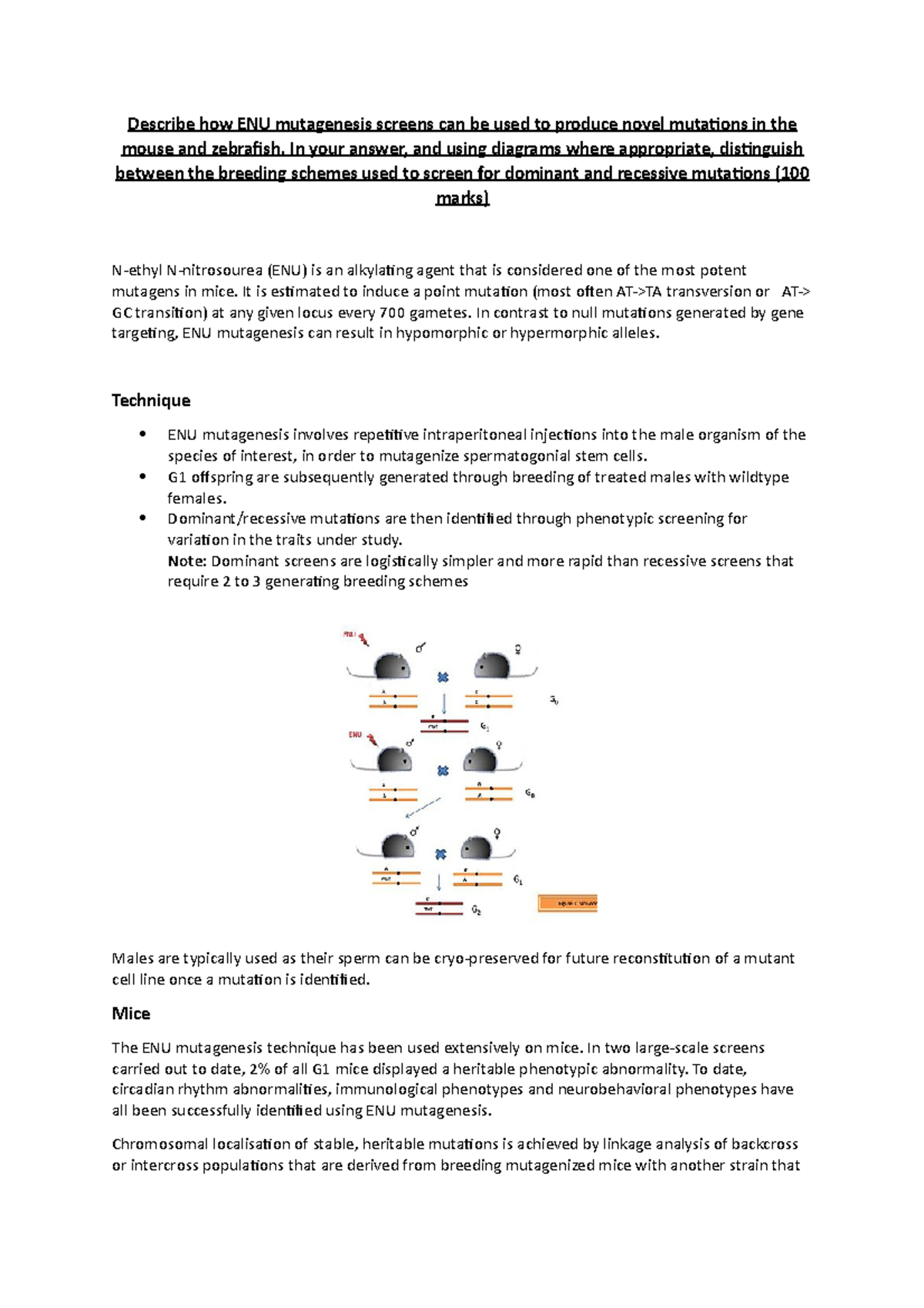 ENU Mutagenesis and Gene Traps - Describe how ENU mutagenesis screens ...