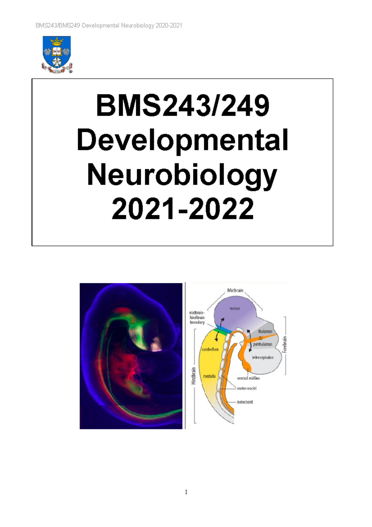 Handbook devneuro - qwer w efweq qwe ew qe weqwe. ewwqe rew - BMS243 ...