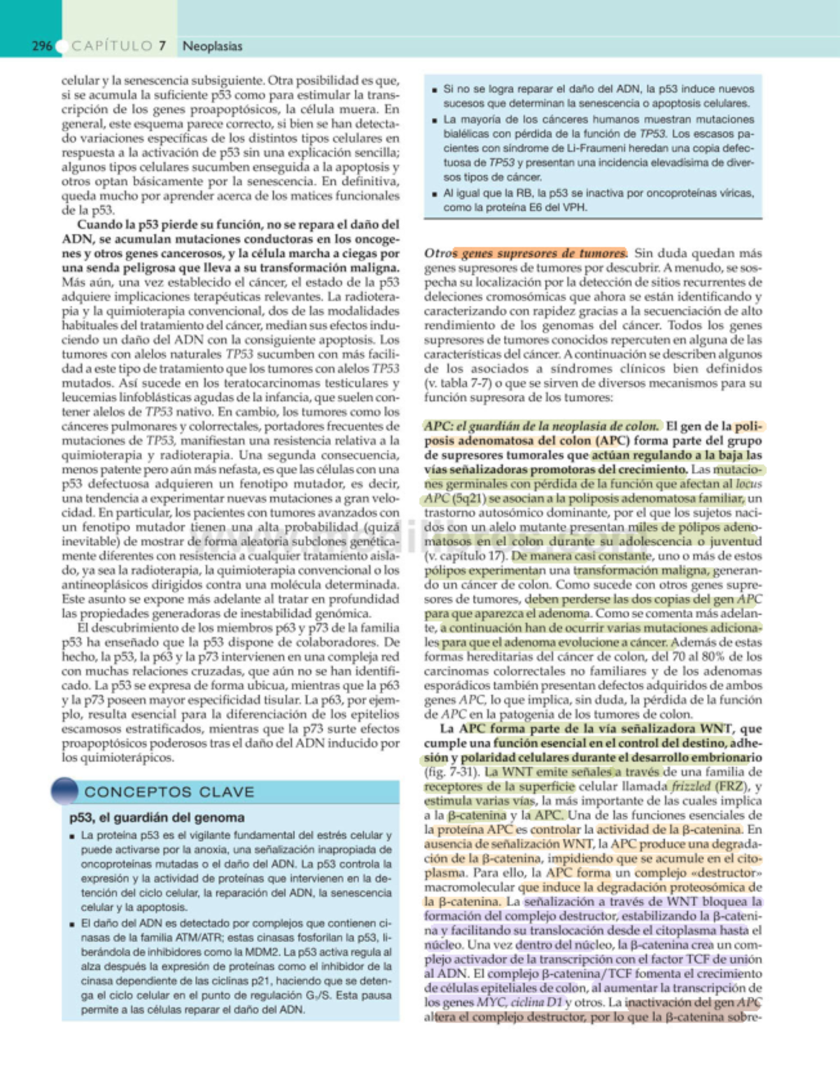 Patologia Estructural y Funcional.Robbins y Cotran.9a Ed (1)-1.pdf 2 ...