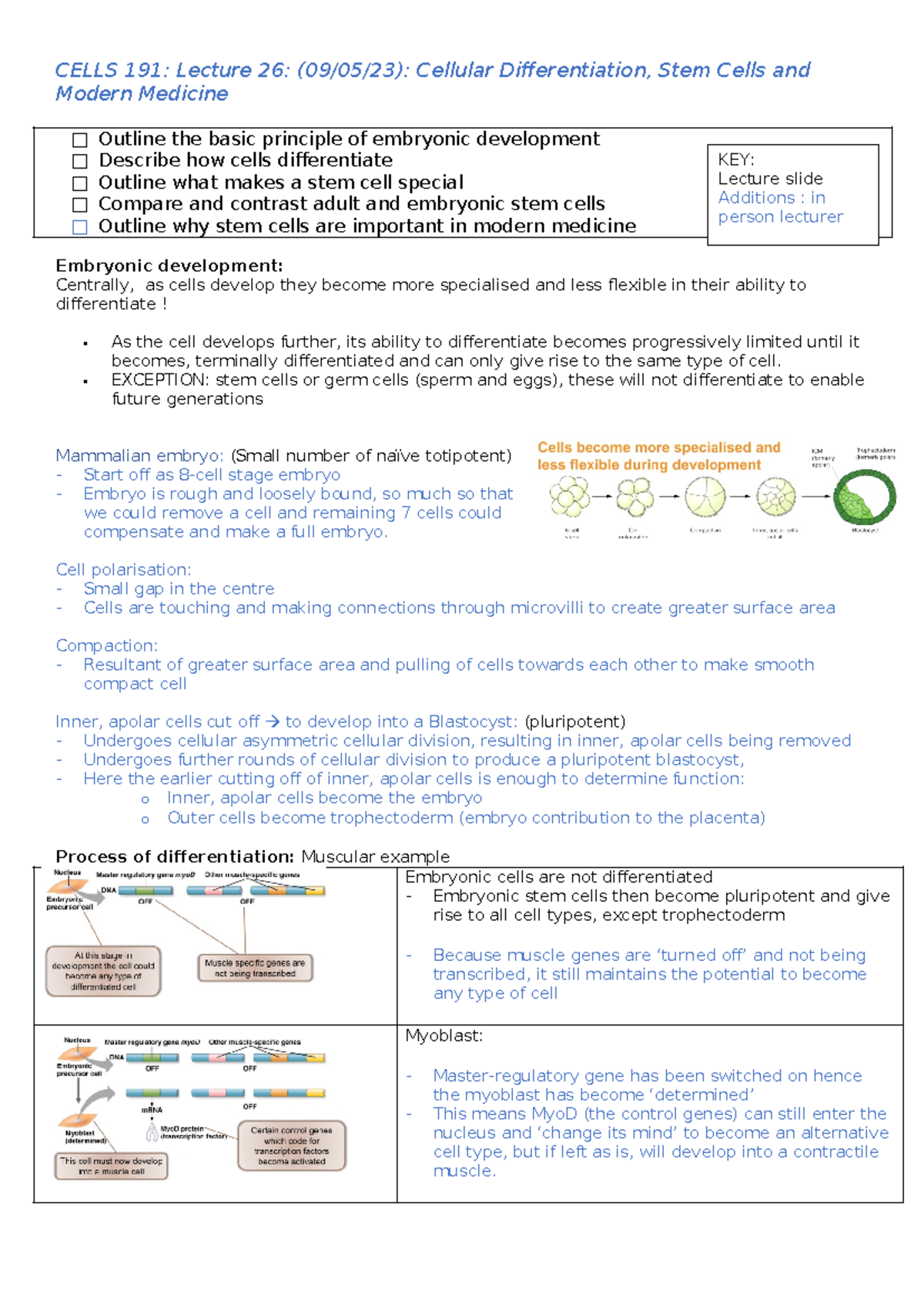 CELS191 S1 20230509 Dnila 1 223122 - CELLS 191: Lecture 26: (09/05/23): Cellular Differentiation ...