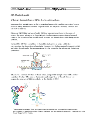 Lab Report 7 - Lab - Name : Adwoa Pokuah Partners : Siming Deng ...