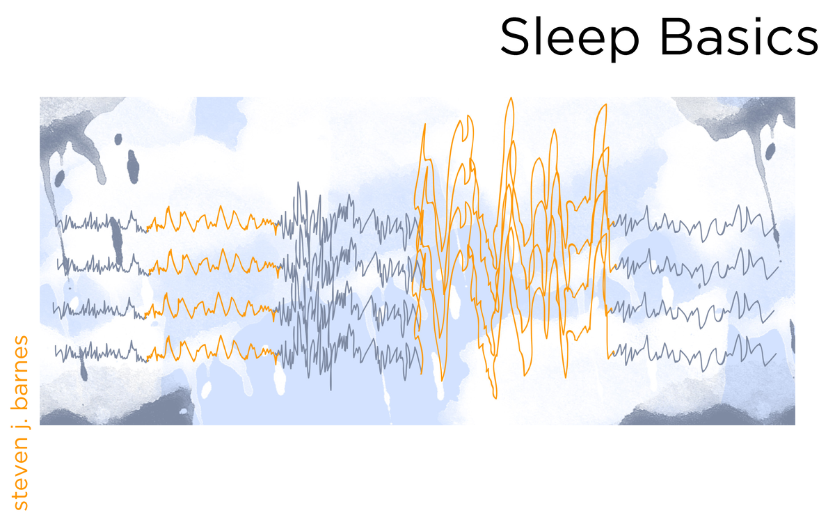 Sleep Basics Final - Barnes - steven j. barnes Sleep Basics *? Describe the tools commonly used ...