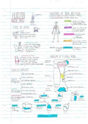 Anatomy-cheat-sheet - cheat sheet - Week 1: subscapular fossa Week 3 ...