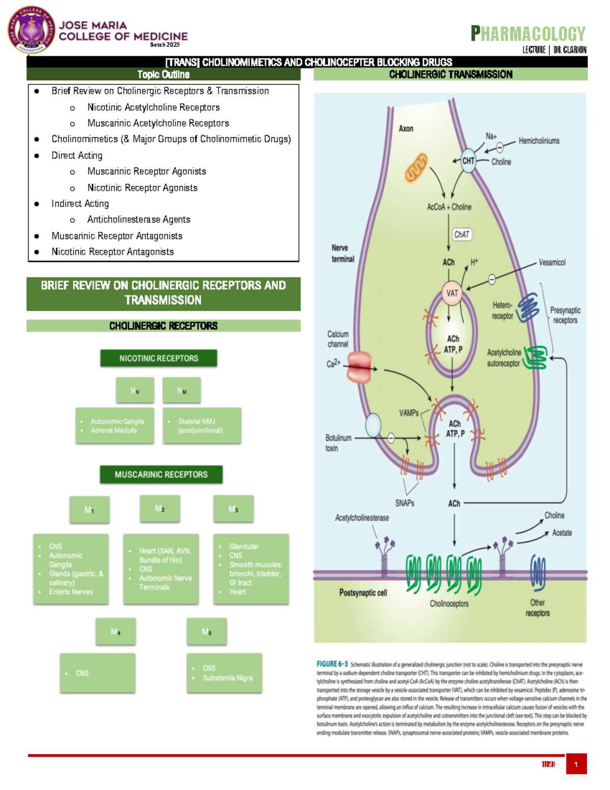Cholinomimetics and Cholinocepter Blocking Drugs - PHARMACOLOGY LECTURE ...