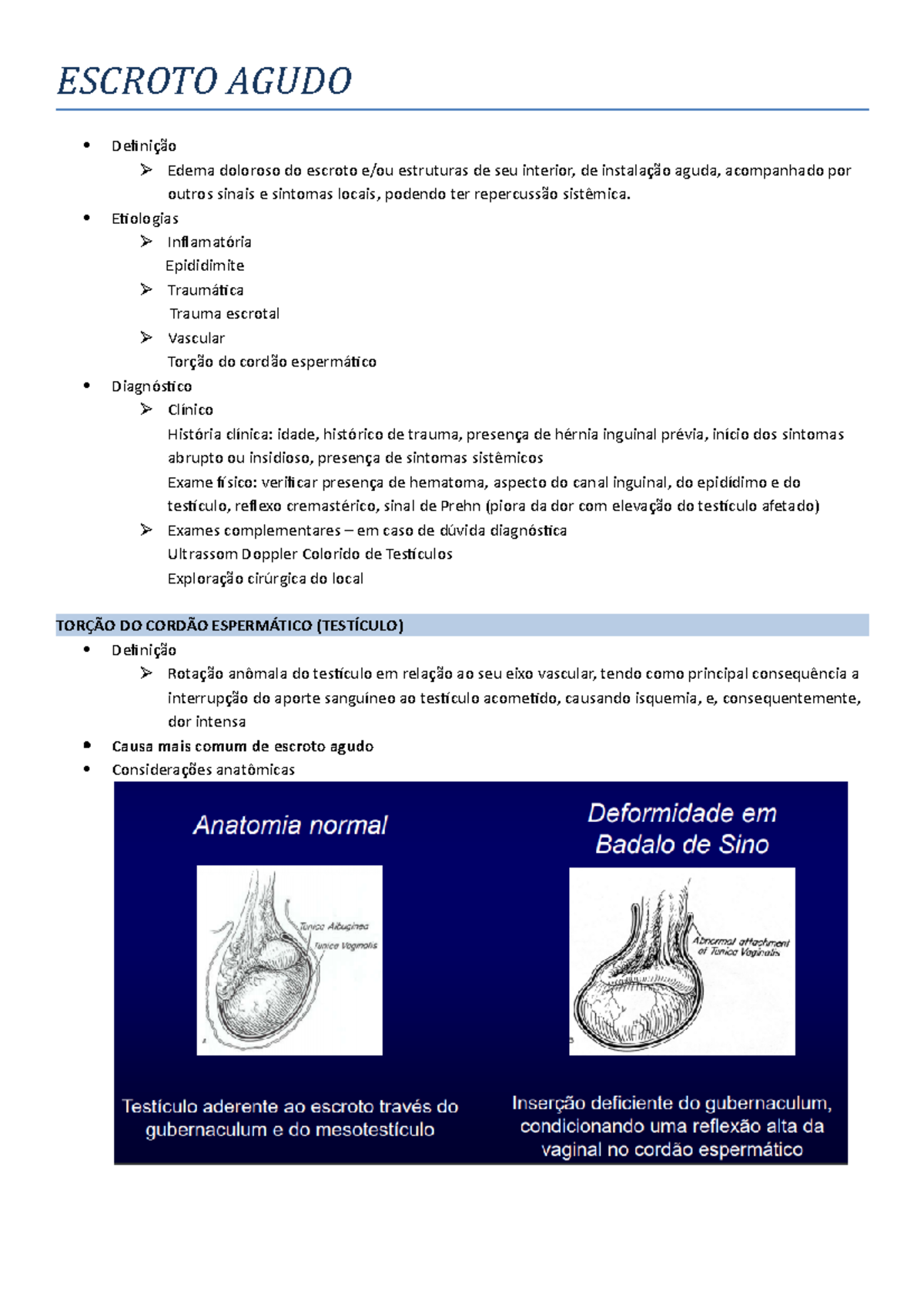Escroto agudo - Resumo - ESCROTO AGUDO Definição Edema doloroso do ...