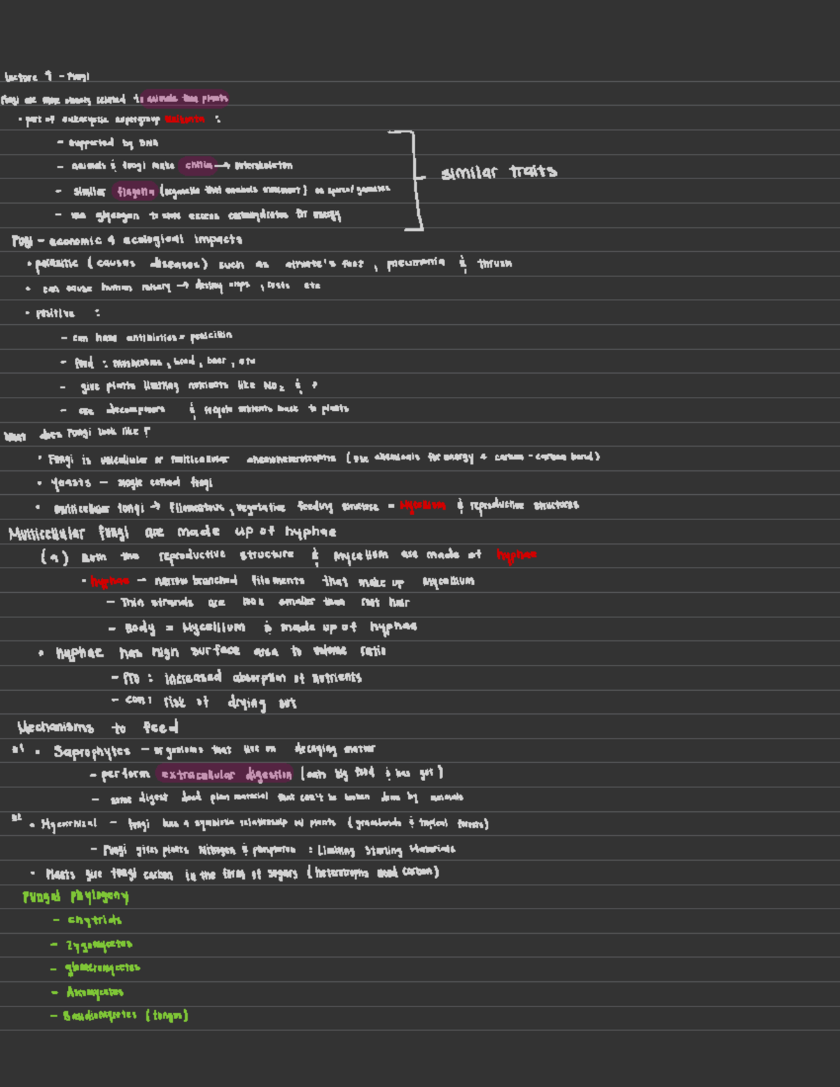 BIO S2- exam prep - Gen Bio II: Exam Prep - Lecture 9-Fungi Fungiare more closely related to ...