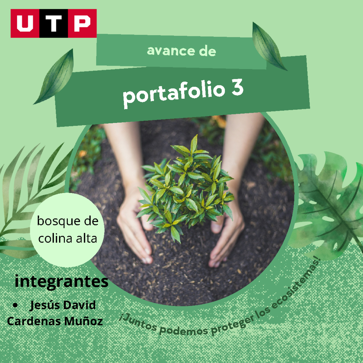 Portafolio Final Individuo Y Medio Ambiente - avance de portafolio 3 ...