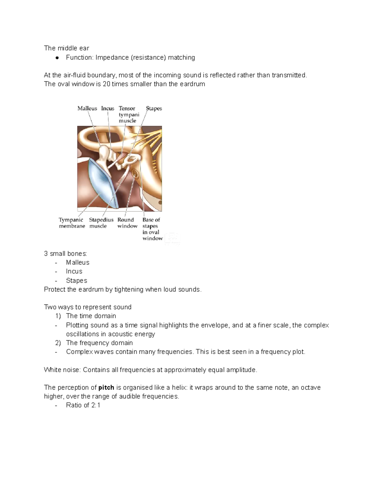 37 - Perception - The middle ear Function: Impedance (resistance ...
