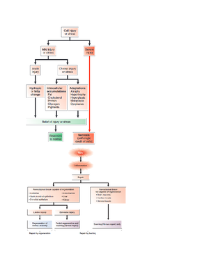 Pathology Study Guide Exam 1 - Genetic defects: monogenic vs. polygenic ...