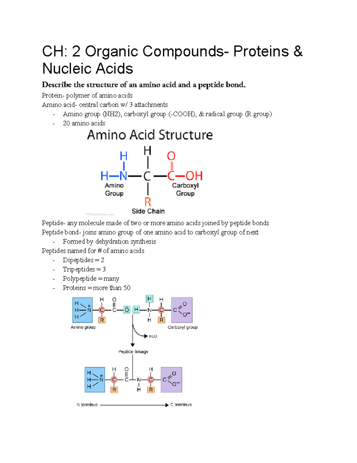 CH 2 Organic Compounds- Proteins & Nucleus Acids - CH: 2 Organic ...