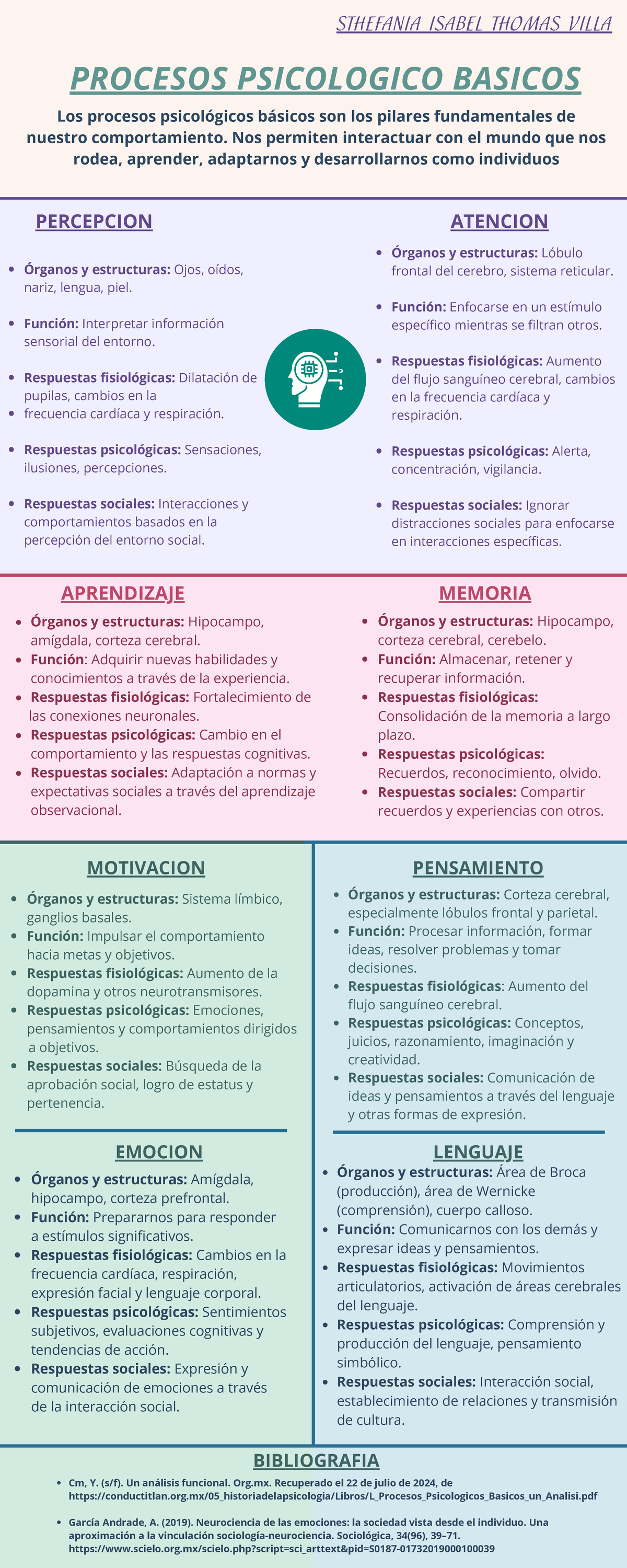 Procesos Psicologicos - PROCESOS PSICOLOGICO BASICOS PERCEPCION Órganos ...