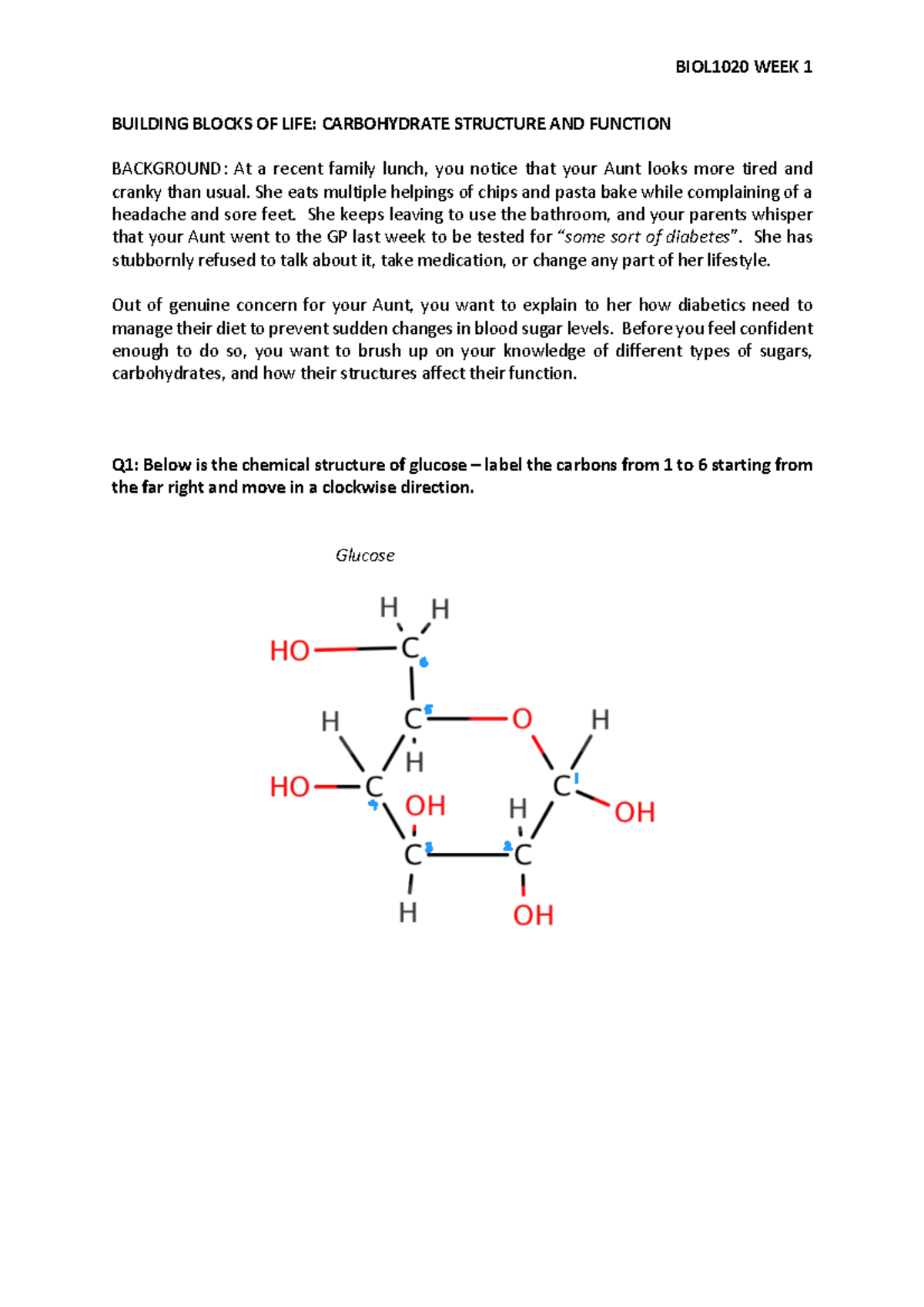 Tutorial Worksheet - BUILDING BLOCKS OF LIFE: CARBOHYDRATE STRUCTURE ...