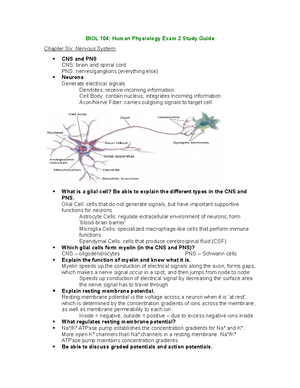 Copy of BIOL 104 - Lab 1-5 Exam Review - Lab 1 - Homeostasis and ...