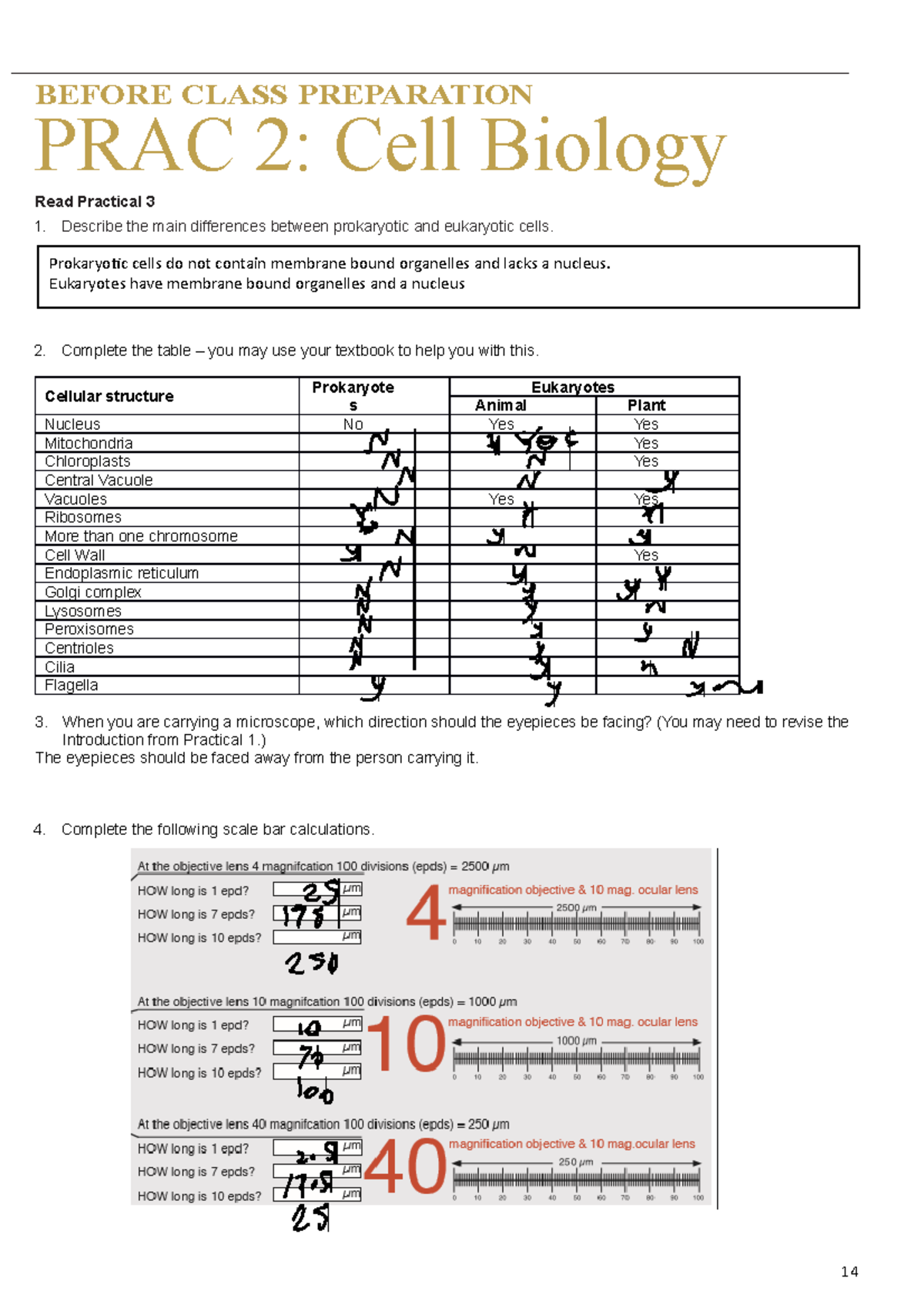 BIOL1020 Prac 2 - Microscopy - BEFORE CLASS PREPARATION PRAC 2: Cell Biology Read Practical 3 ...