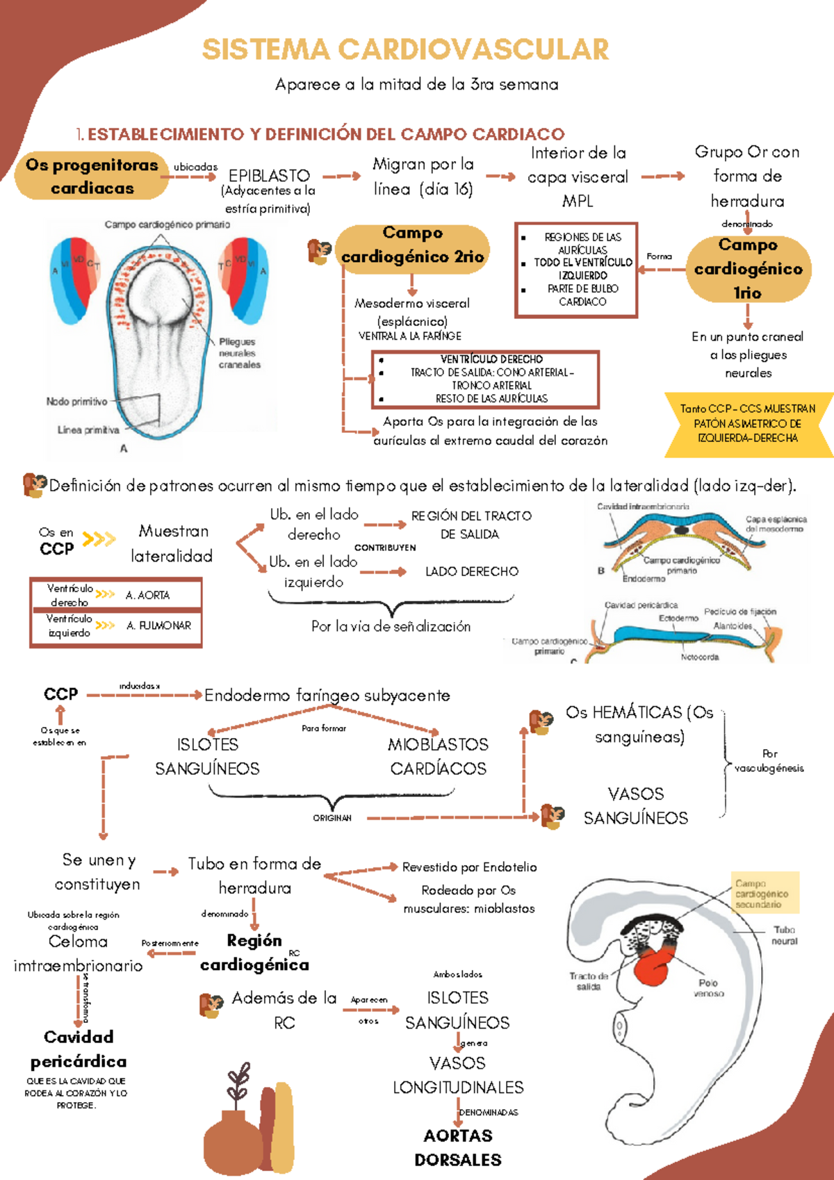 DOC-20241105-WA0008 - Breve resumen del capítulo 13 del libro Langman ...