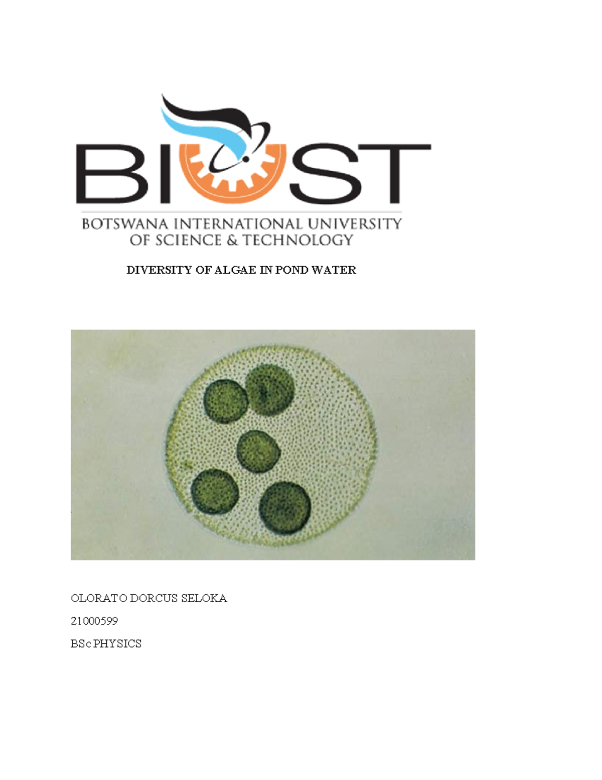 Diversity OF Algae IN POND Water - DIVERSITY OF ALGAE IN POND WATER ...