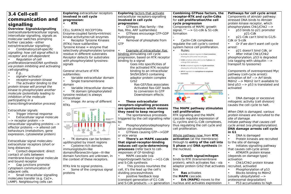 3 4 Cell Signalling 3 Cell Cell Communication And Signalling Overview Signalsandsignalling