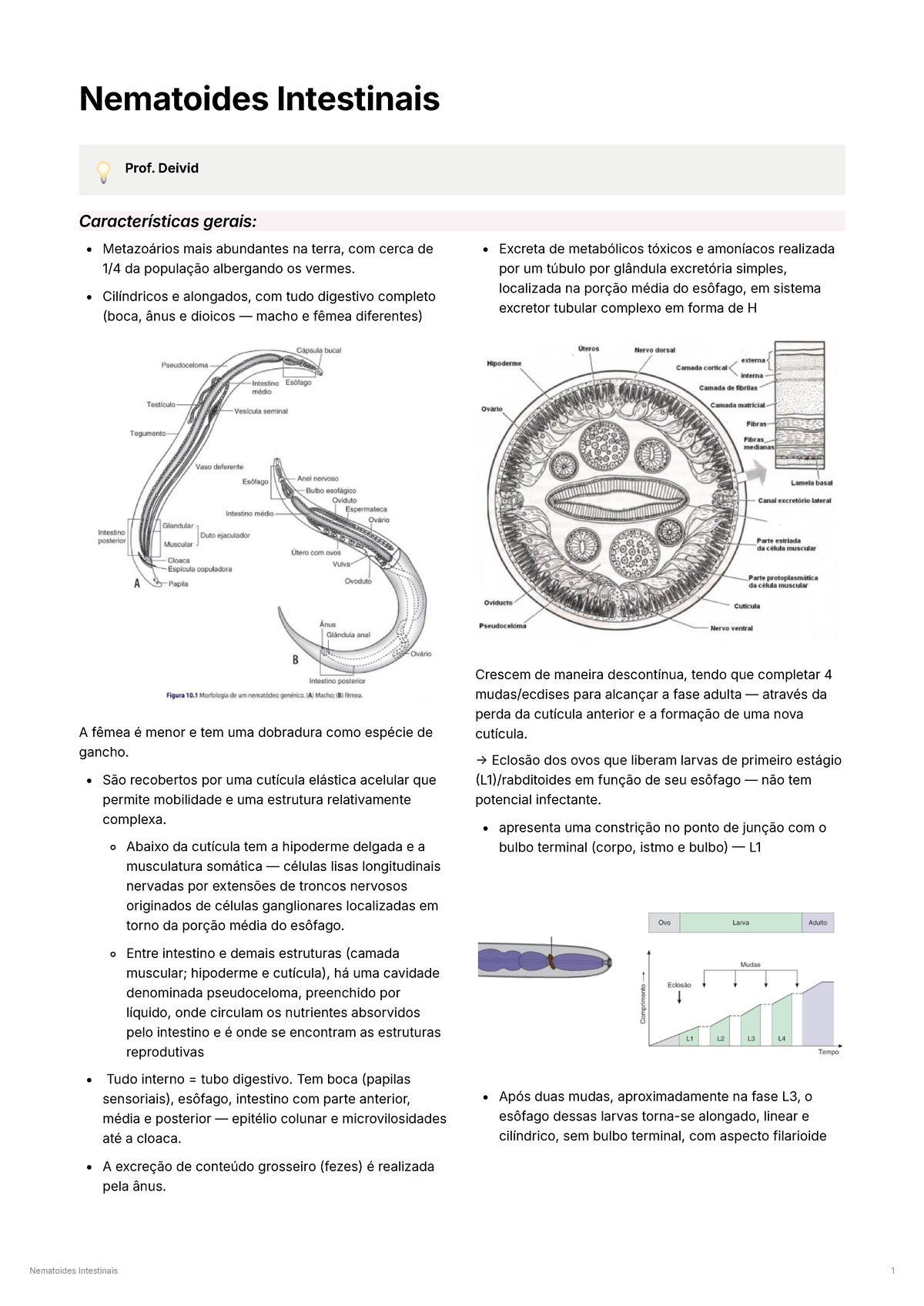Resumo sobre nematoides intestinais de importância médica - Nematoides ...