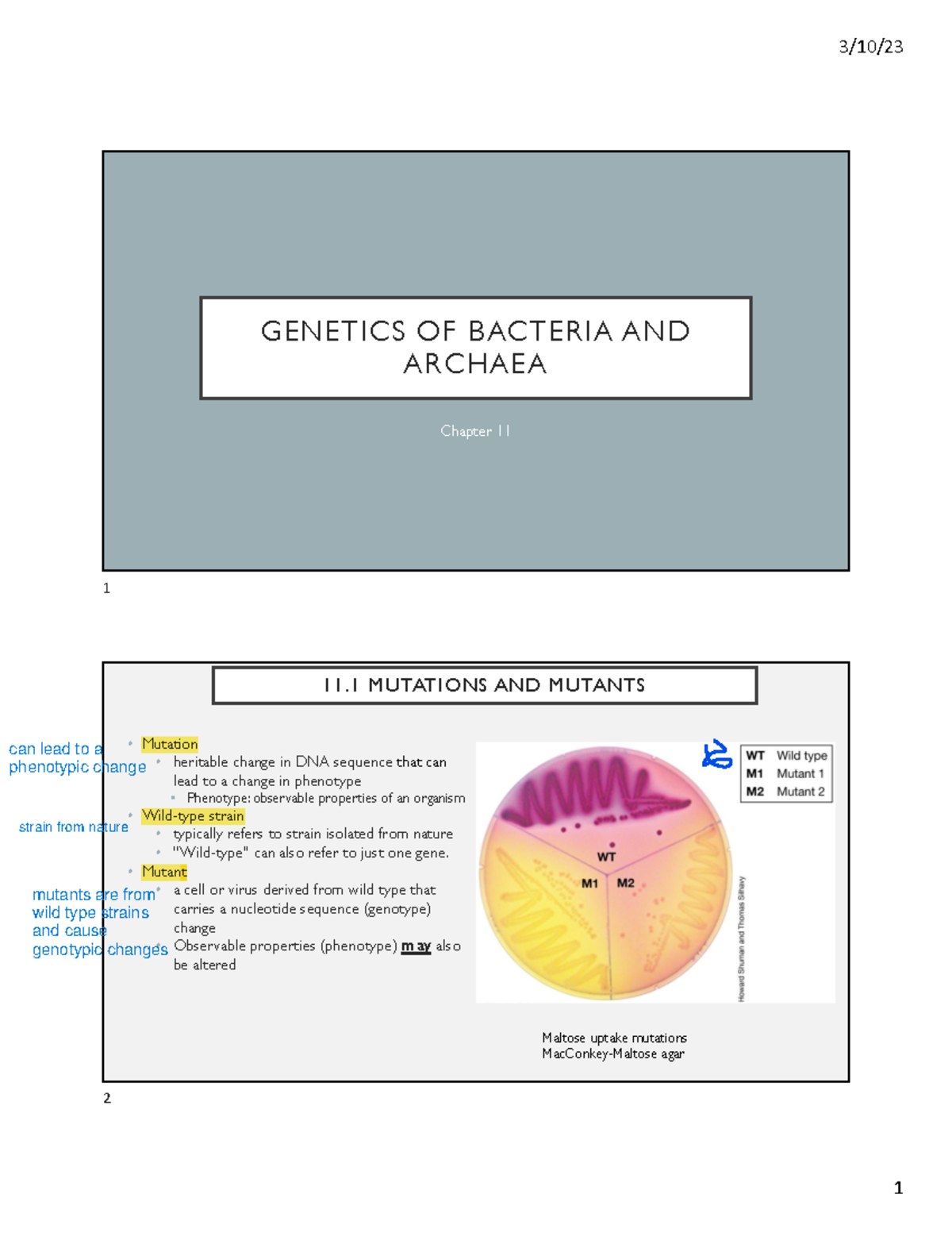 Module 9 (finished) SP23 - GENETICS OF BACTERIA AND ARCHAEA Chapter 11 ...