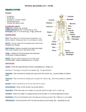 Unit 2 PE Exam Topics - Unit 2 PE Topics Dimensions of Physical ...