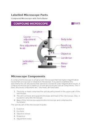 Practical Report Format - PRACTICAL REPORTS This guide is presented as ...