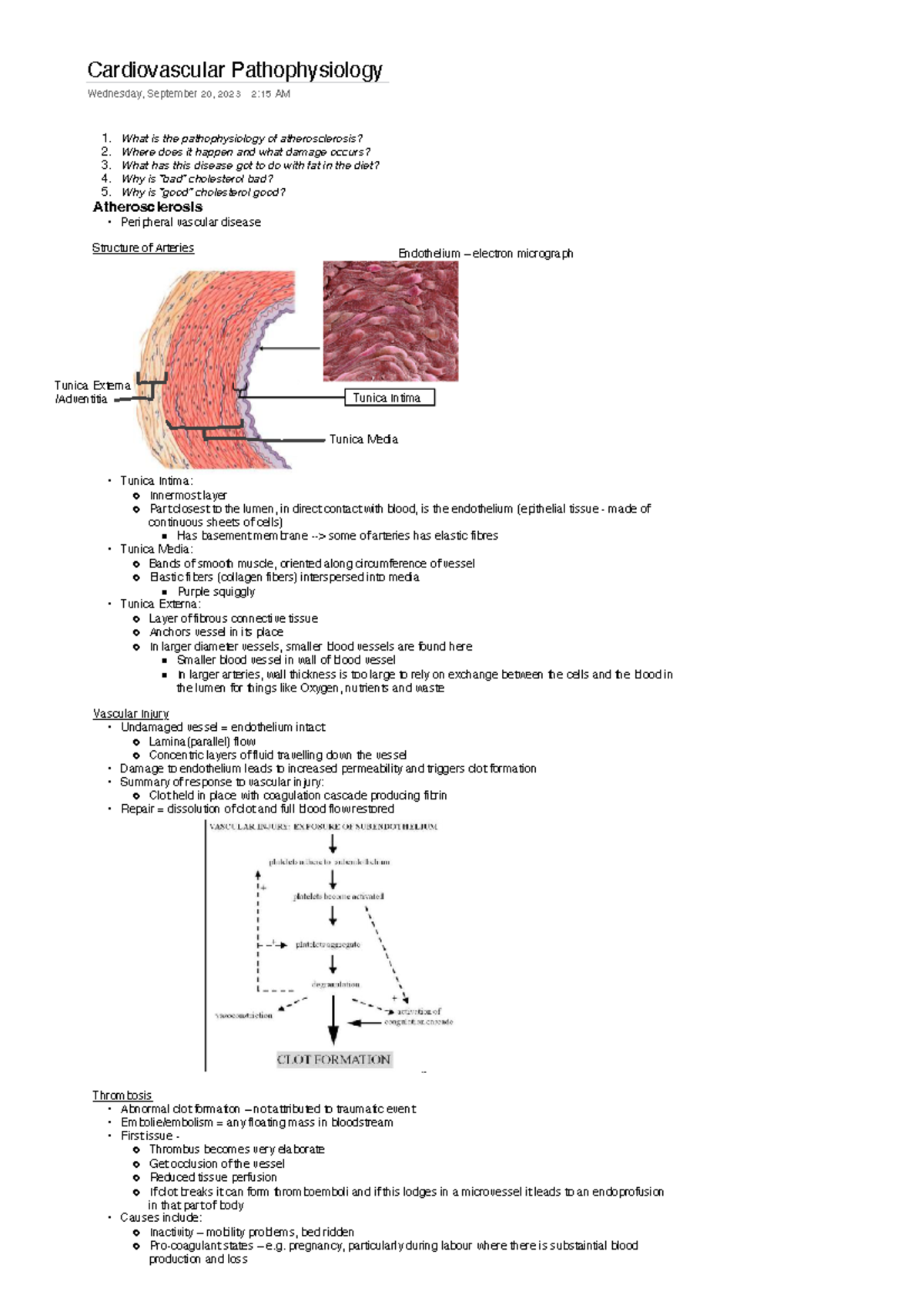 Notes for Patho Quiz 2 - Cardiovascular Pathophysiology Wednesday ...