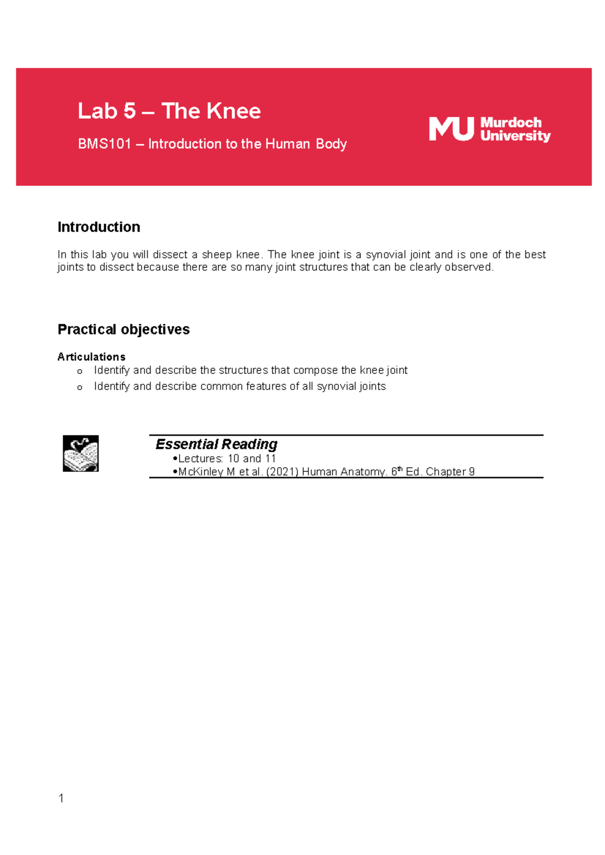 Lab 5 word - Introduction In this lab you will dissect a sheep knee ...