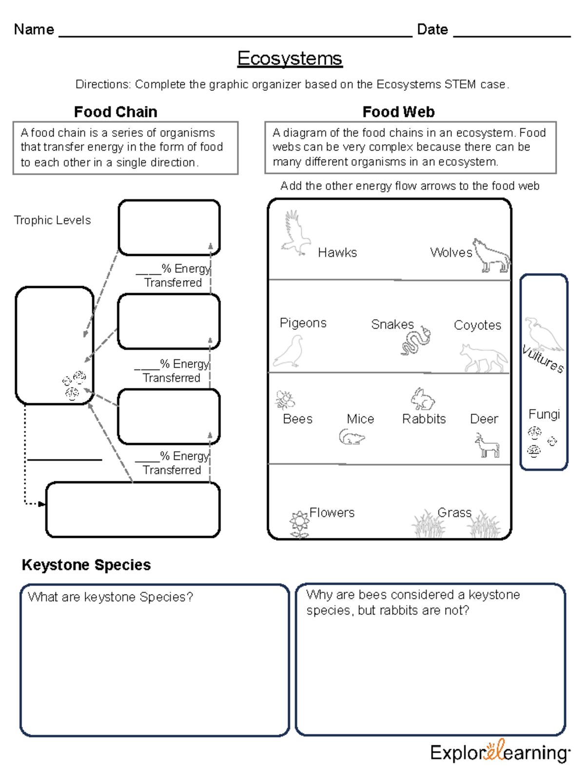Ecosystems High School Graphic Organizer (1) - Name