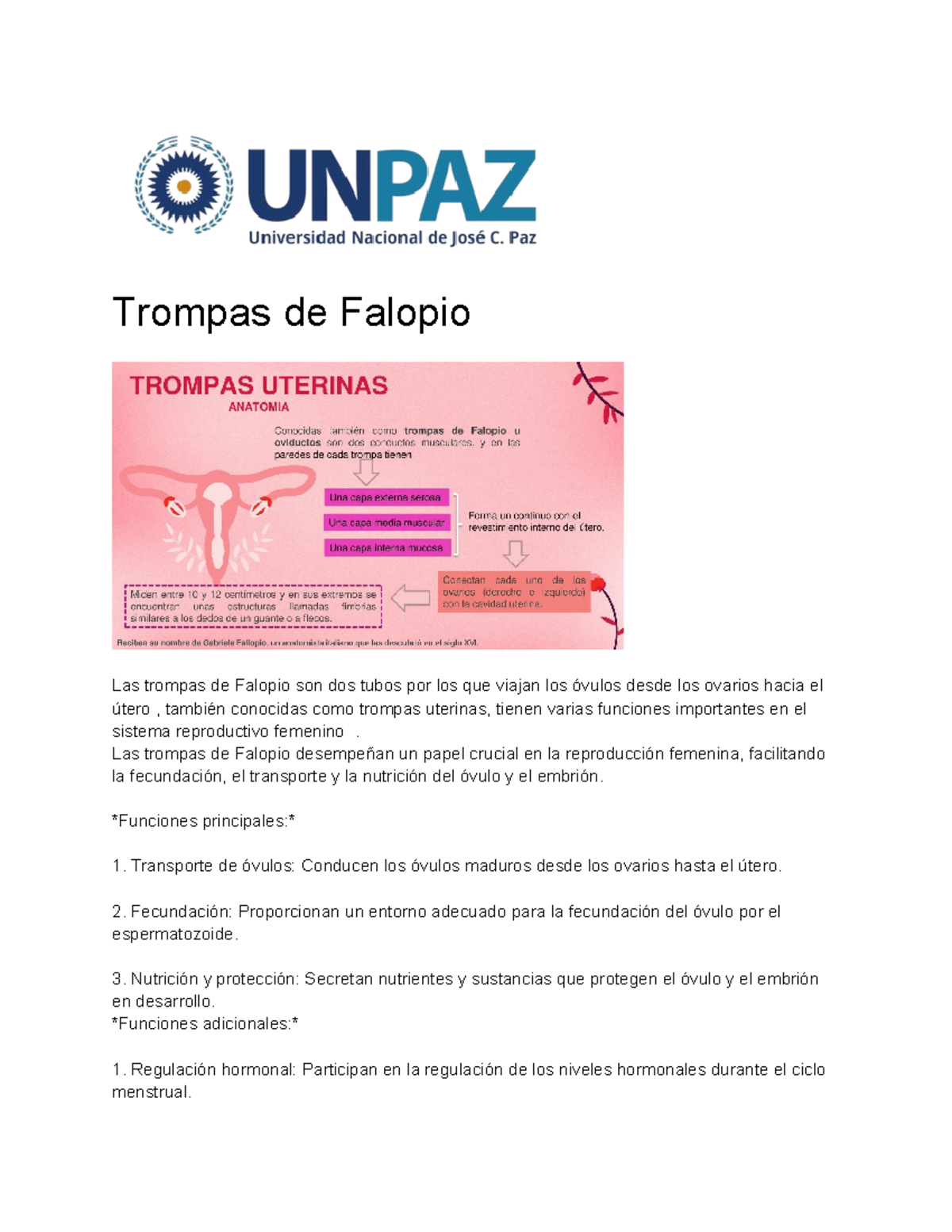 Trompas de Falopio - Tranqui - Trompas de Falopio Las trompas de ...