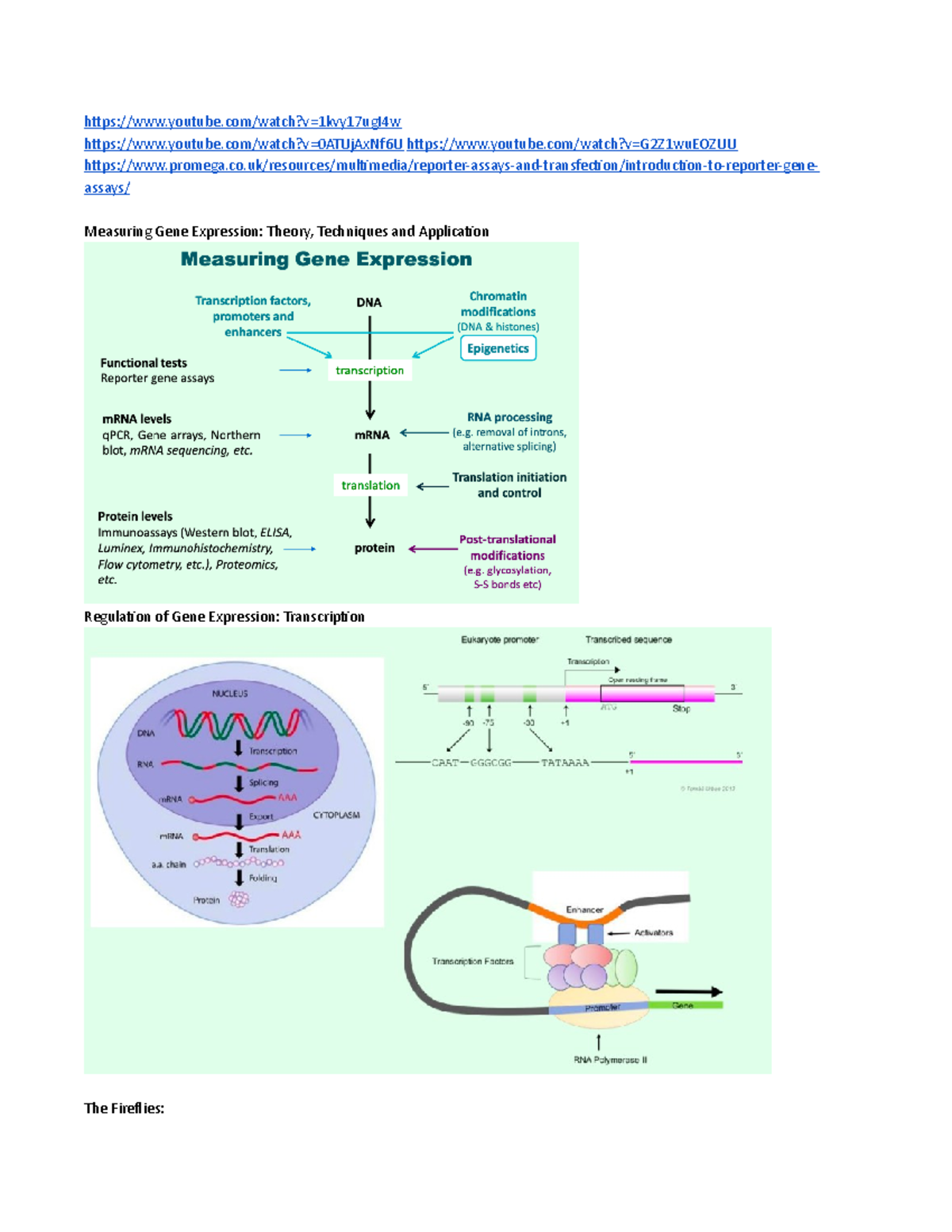 Measuring Gene Expression Theory, Techniques and Application - 6H5Z1036 ...