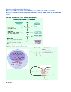 To be able to describe the principles and steps of To be able to ...