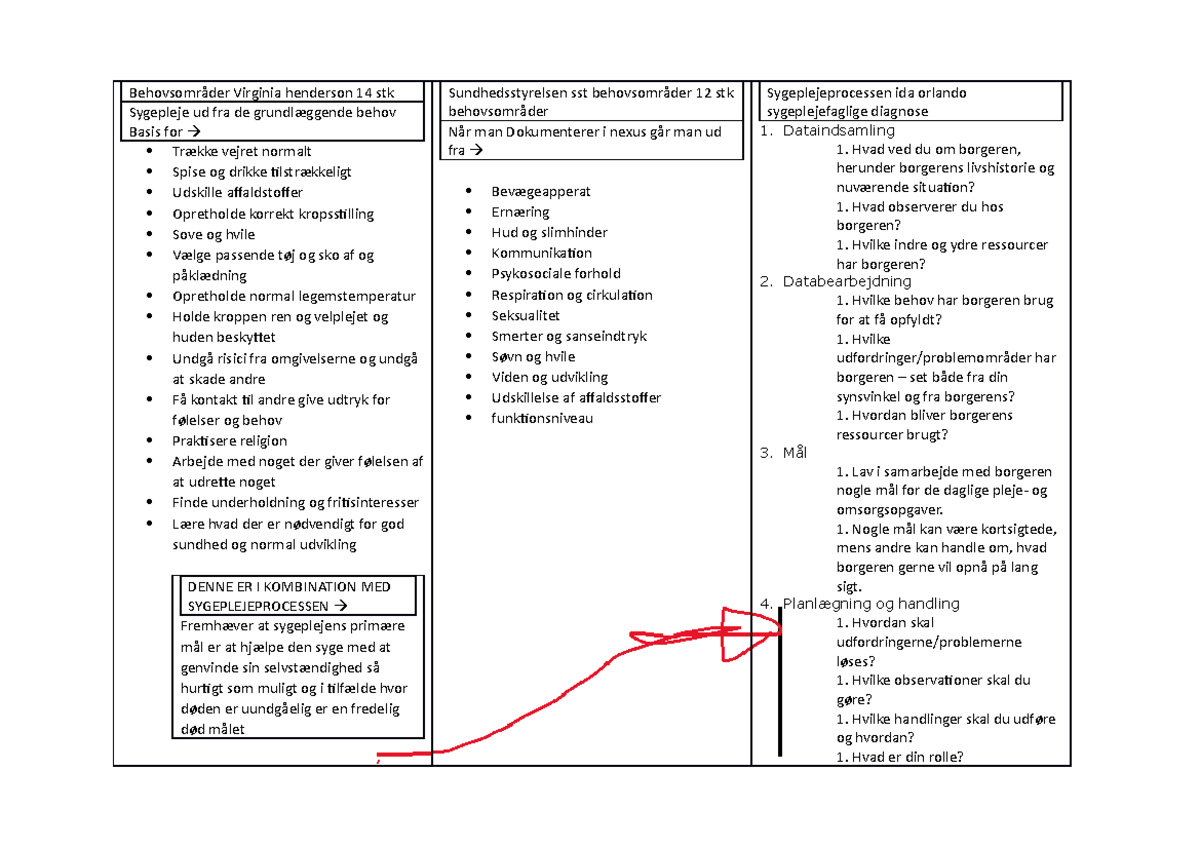 Sygeplejeproces og behovsområder forklaring skema - Behovsområder ...