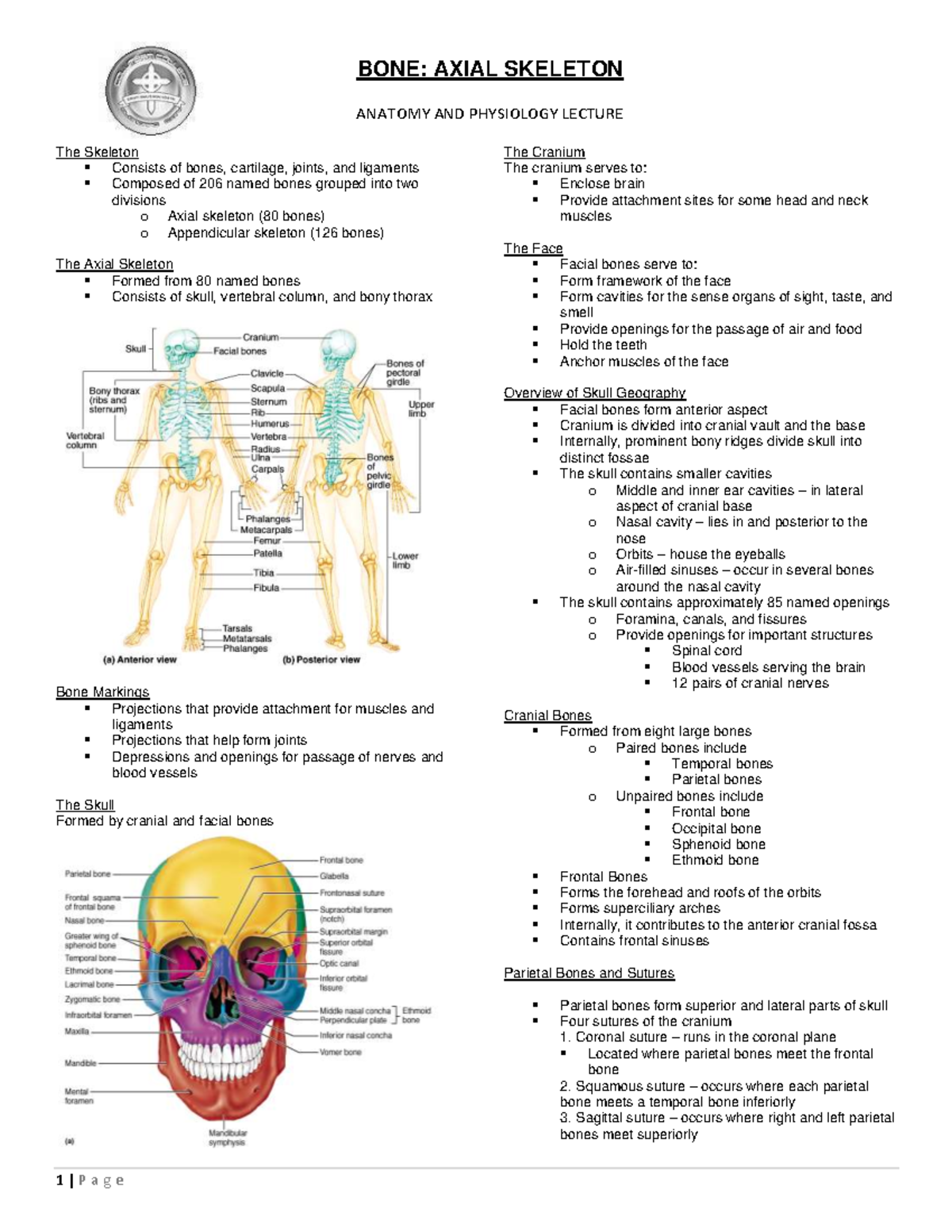 lecture notes on anatomy for medical technology - ANATOMY AND ...