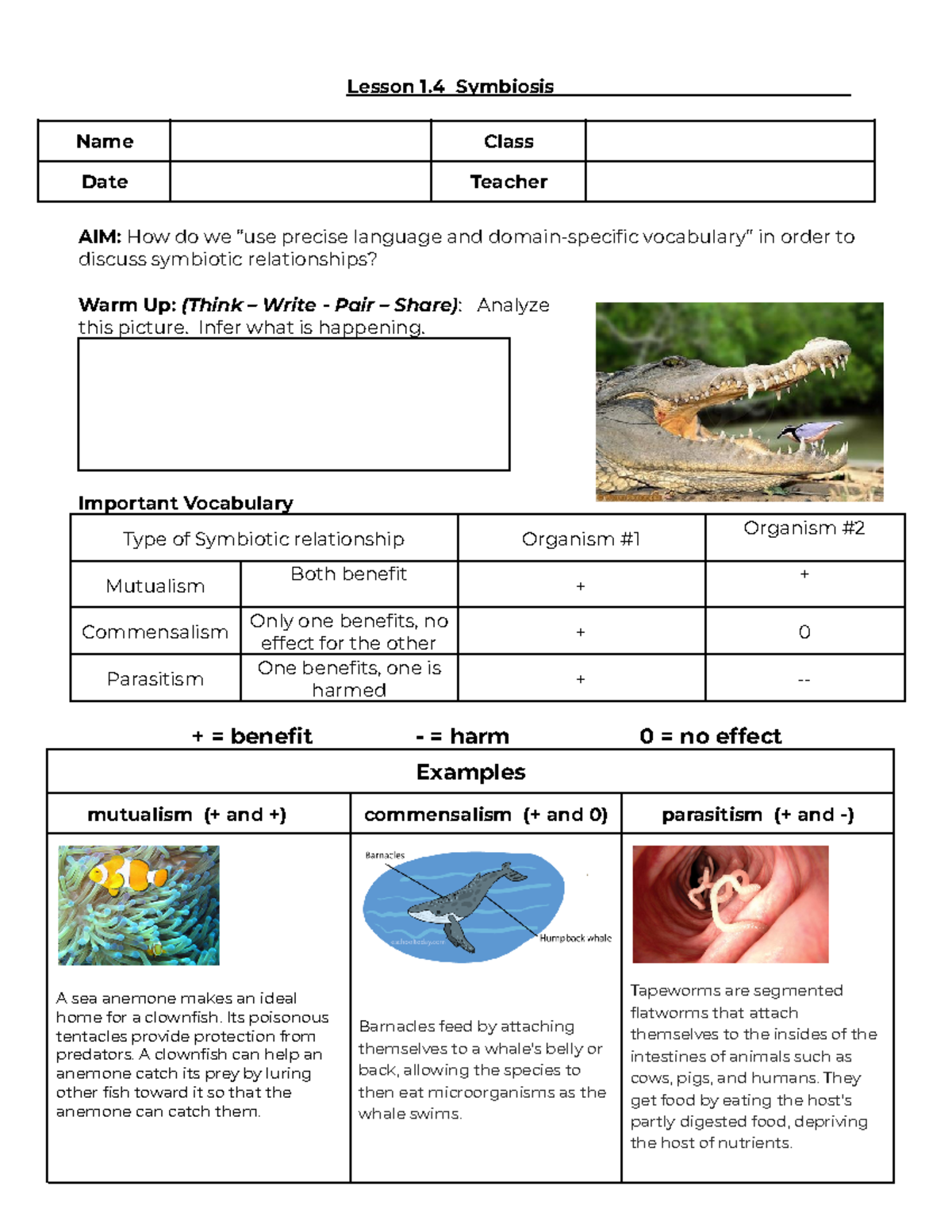 Symbiosis Lesson 1 Symbiosis Name Class Date Teacher Aim How Do We Use Precise Language And