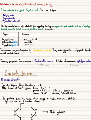 hydrolysis and condensation - biology - Studocu