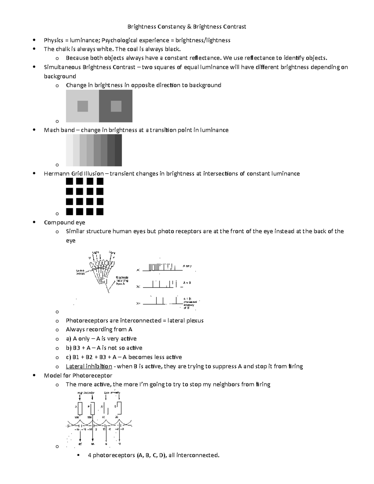 Brightness Constancy & Brightness Contrast - Brightness Constancy &amp ...