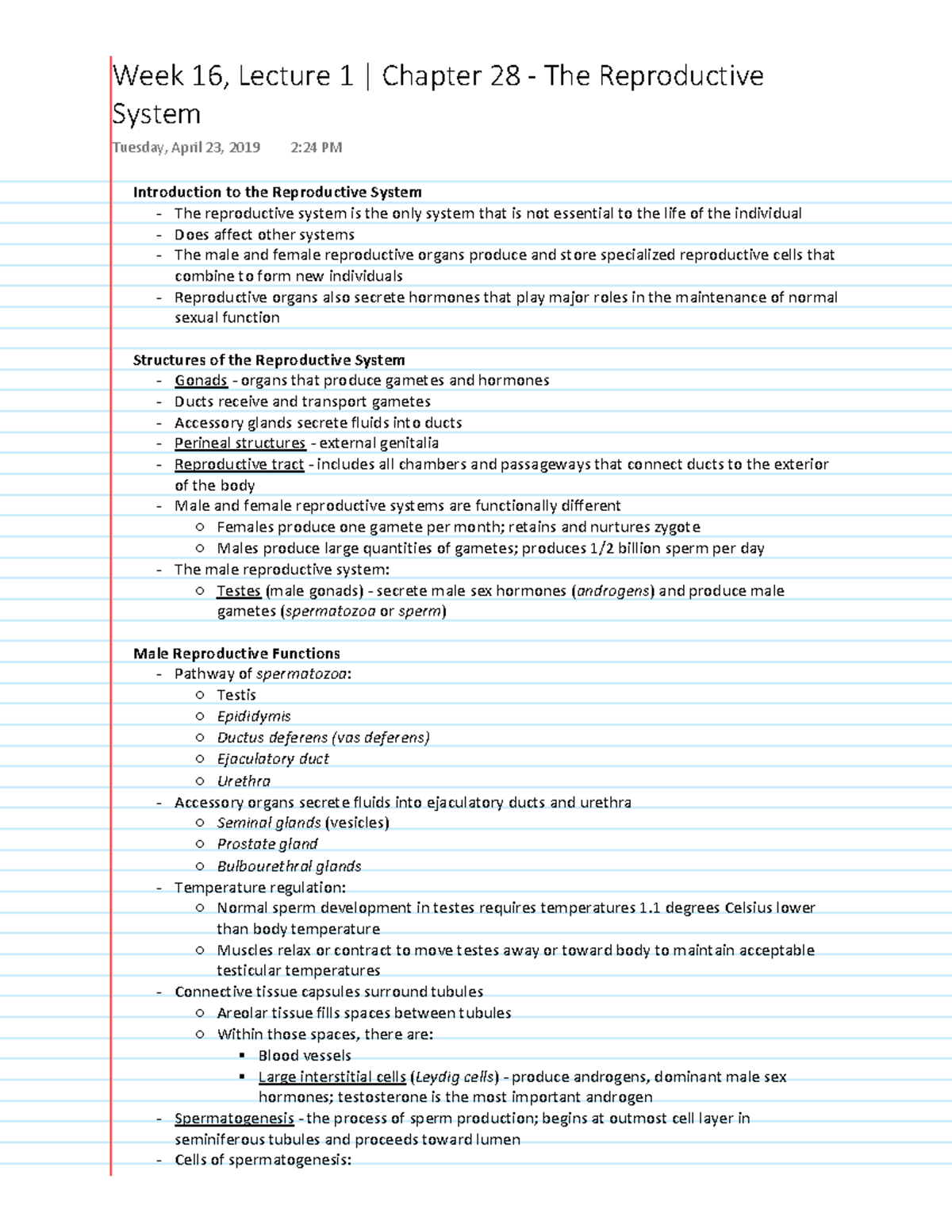 Chapter 28 - The Reproductive System - Mitosis each division of a ...
