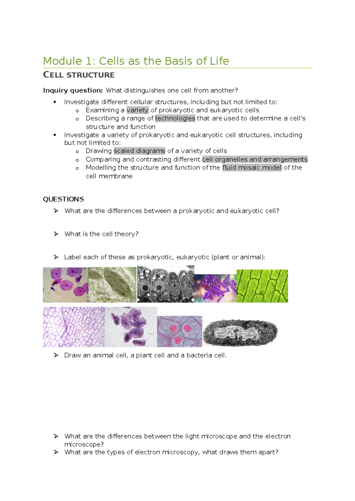 Year 11 Biology Study Notes - Module 1: Cells as the Basis of Life CELL ...