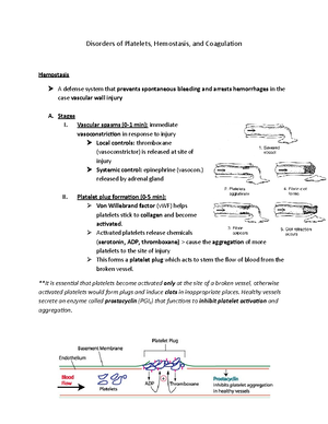 Patho sheets-0001 - reference sheets - Beautiful Nursing ...