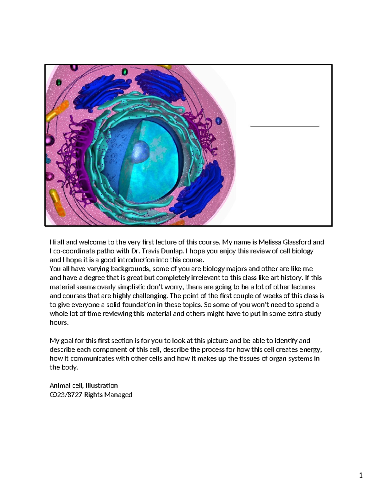 2021 Cell review - Hi all and welcome to the very first lecture of this ...