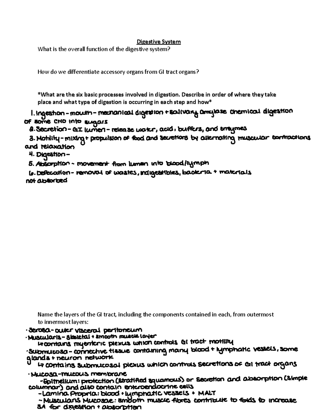 Final Ch 24 Digestive System Digestive System What Is The Overall