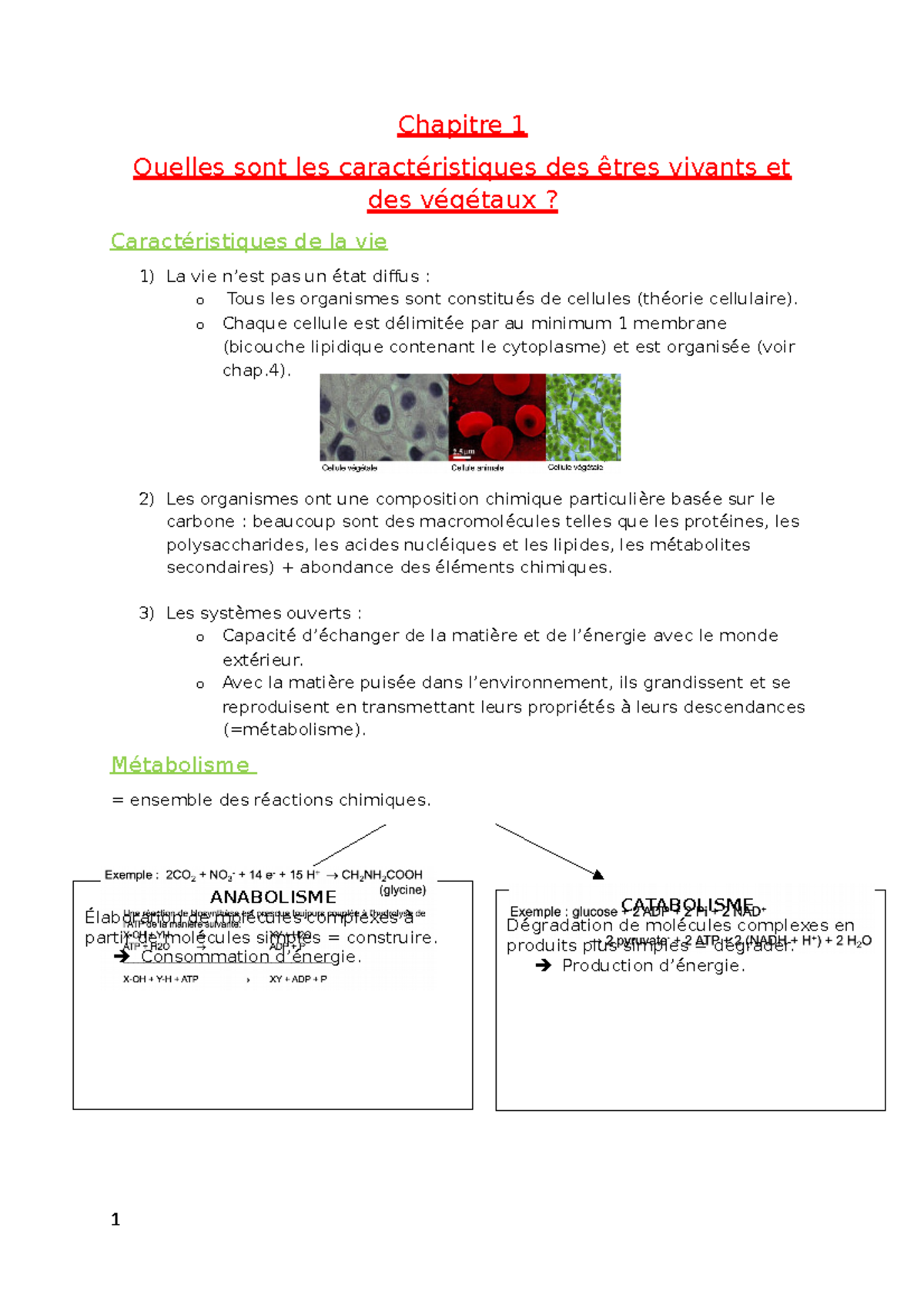 Chapitre 1 - Chapitre 1 Quelles sont les caractéristiques des êtres ...