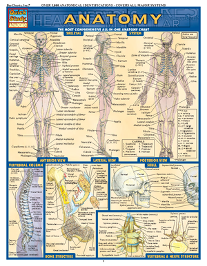 Medical Terminology Quick Study Sheet - A. Development Cells - tissues ...