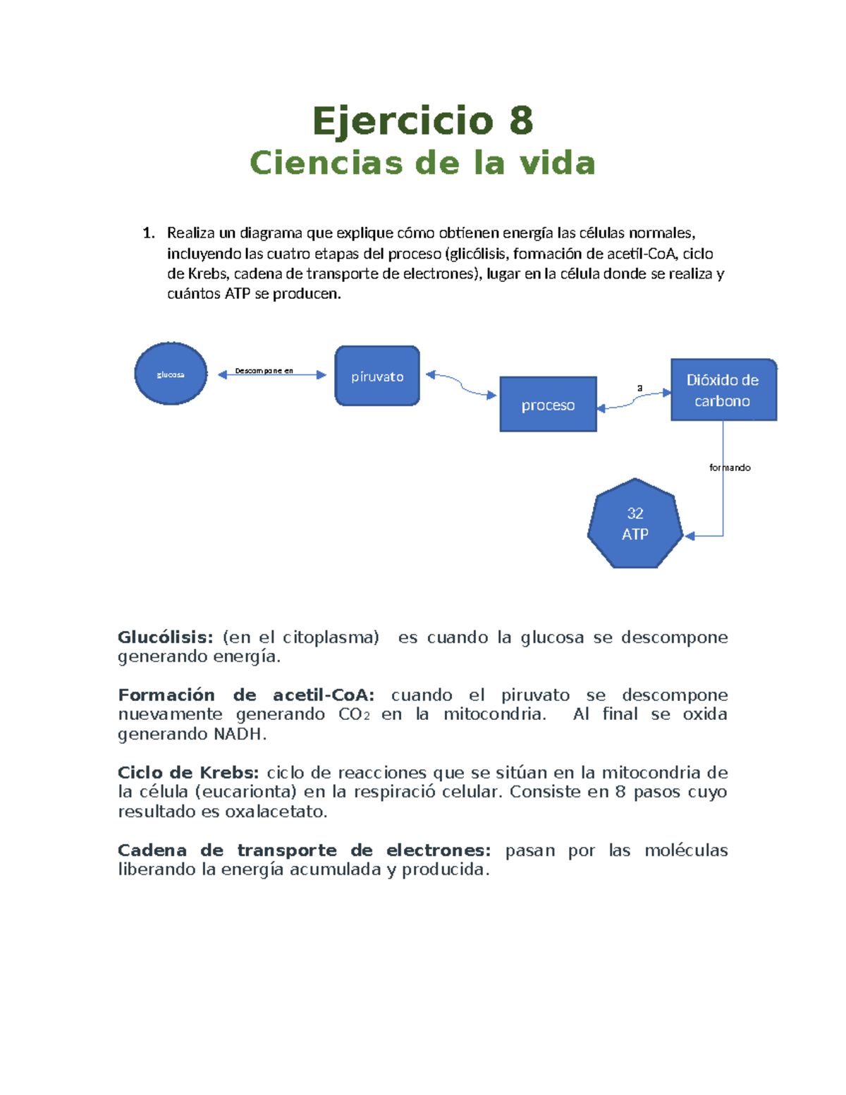Ejercicio 8 - Ejercicio 8 Ciencias de la vida 1. Realiza un diagrama ...